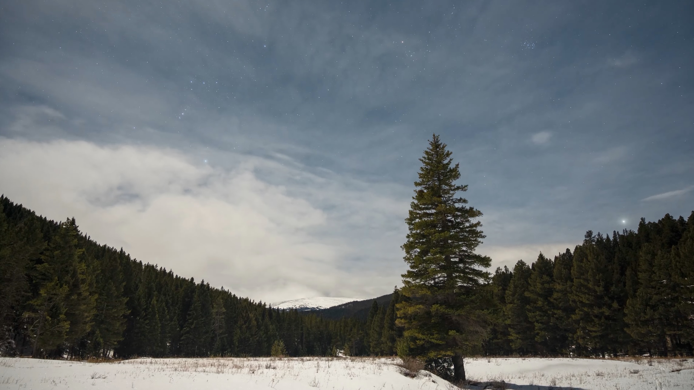 Moonlight, Little Belts – Eric Heidle